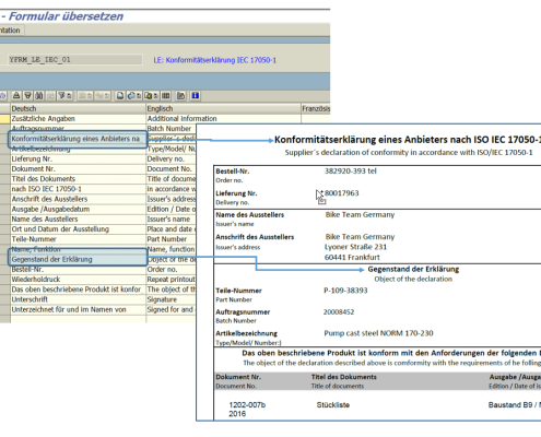 SAP Form Declaration of Conformity IEC 17050-1 | solidforms