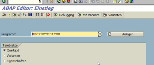 Activate or deactivate MS Word as a text editor in SAP