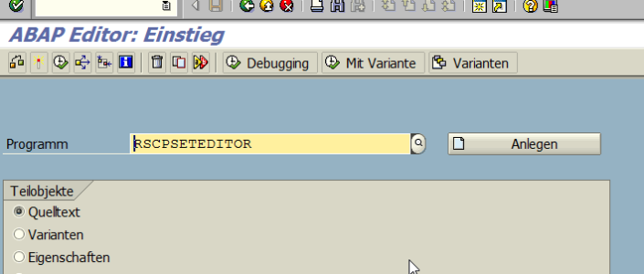 Activate or deactivate MS Word as a text editor in SAP